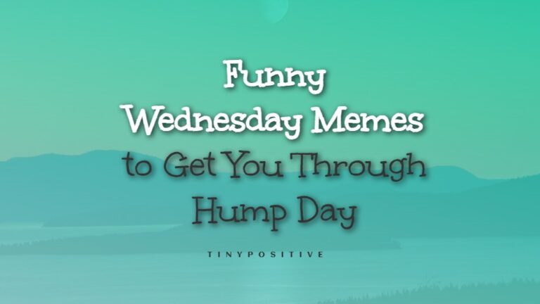 100+ Funny Wednesday Memes to Get You Through Hump Day – Tiny Positive