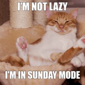 35 Sunday memes Quotes – Tiny Positive