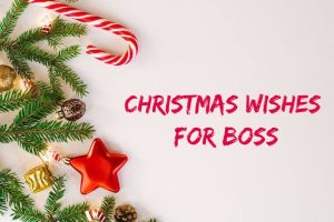 50 Heartfelt Christmas Wishes For Boss – Tiny Positive