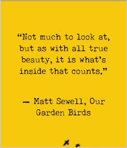 70 Inner Beauty Quotes and Sayings – Tiny Positive