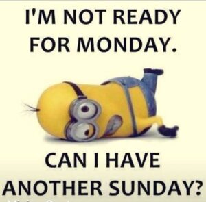 27 Hilarious Minion Memes That Will Make Your Day – Tiny Positive
