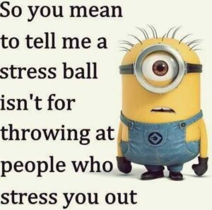 27 Hilarious Minion Memes That Will Make Your Day – Tiny Positive