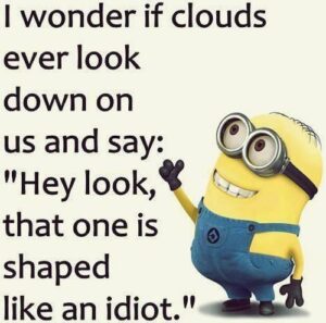35 Epic Minion Memes That Are Too Funny – Tiny Positive
