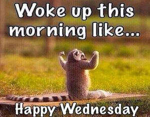 100 Good Morning Wednesday Memes - Hump Day Memes to Week – Tiny Positive