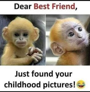 100 Friendship Memes and Quotes To Share with Your Besties – Tiny Positive