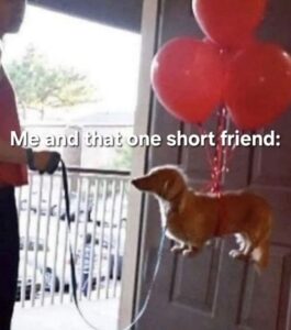 100 Friendship Memes and Quotes To Share with Your Besties – Tiny Positive