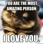 100 Funny Sarcastic Love Memes - Lol To Send To That Special Someone ...