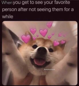 100 Funny Sarcastic Love Memes - Lol To Send To That Special Someone ...
