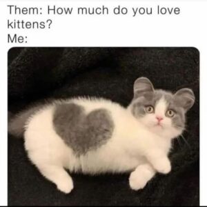 100 Funny Sarcastic Love Memes - Lol To Send To That Special Someone ...