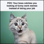 35+ Funny Work Memes That Perfectly Capture Office Life – Tiny Positive