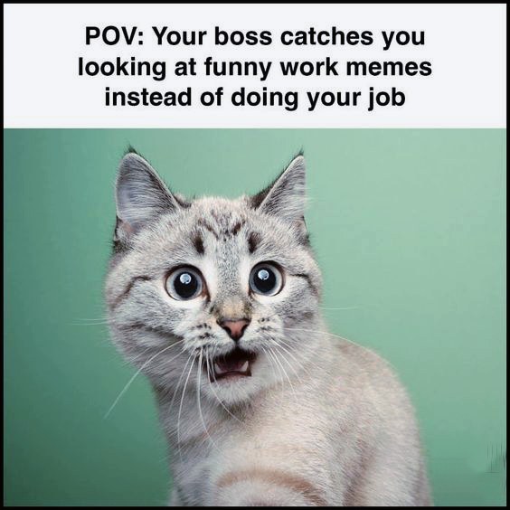 35+ Funny Work Memes That Perfectly Capture Office Life – Tiny Positive