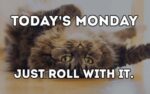 100 Relatable Monday Memes To Help You Survive The Week – Tiny Positive
