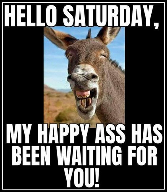 35 Happy Saturday Memes: The Funniest & Most Relatable Memes to Slay ...