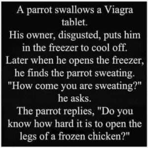 The Evolution of Adult Humor: 50+ Adult Humor Memes for the Overworked ...