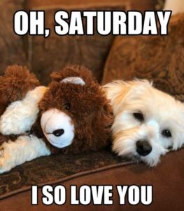 35 Happy Saturday Memes: The Funniest & Most Relatable Memes to Slay ...