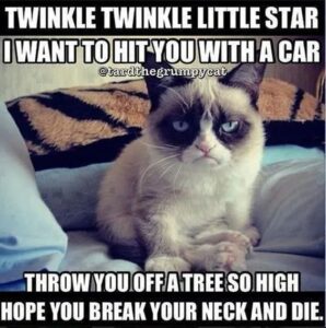 50 Grumpy Cat Memes That Broke the Internet: Viral Humor, Emotional ...