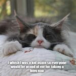 Sleeping Cat Memes: 30 Hilarious Snooze Moments Melt Hearts