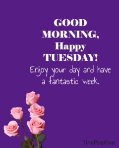 100+ Best Happy Tuesday Images & Greetings! Share the Vibe! – Tiny Positive
