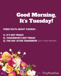 100+ Best Happy Tuesday Images & Greetings! Share the Vibe! – Tiny Positive