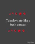 100+ Best Happy Tuesday Images & Greetings! Share the Vibe! – Tiny Positive