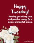 100+ Best Happy Tuesday Images & Greetings! Share the Vibe! – Tiny Positive