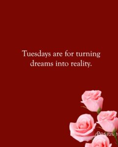 100+ Best Happy Tuesday Images & Greetings! Share the Vibe! – Tiny Positive