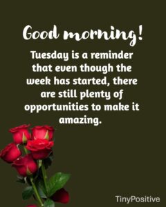100+ Best Happy Tuesday Images & Greetings! Share the Vibe! – Tiny Positive