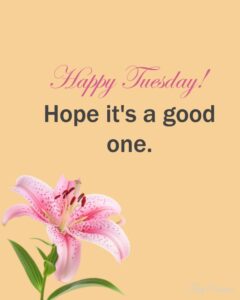 100+ Best Happy Tuesday Images & Greetings! Share the Vibe! – Tiny Positive