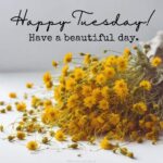 100+ Best Happy Tuesday Images & Greetings! Share the Vibe! – Tiny Positive