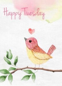 100+ Best Happy Tuesday Images & Greetings! Share the Vibe! – Tiny Positive