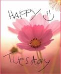 100+ Best Happy Tuesday Images & Greetings! Share the Vibe! – Tiny Positive