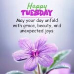100+ Best Happy Tuesday Images & Greetings! Share the Vibe! – Tiny Positive