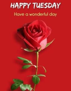 100+ Best Happy Tuesday Images & Greetings! Share the Vibe! – Tiny Positive