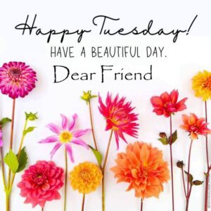 100+ Best Happy Tuesday Images & Greetings! Share the Vibe! – Tiny Positive