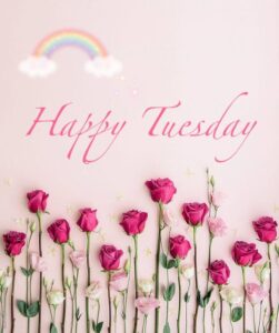 100+ Best Happy Tuesday Images & Greetings! Share the Vibe! – Tiny Positive