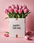 100+ Best Happy Tuesday Images & Greetings! Share the Vibe! – Tiny Positive