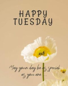 100+ Best Happy Tuesday Images & Greetings! Share the Vibe! – Tiny Positive